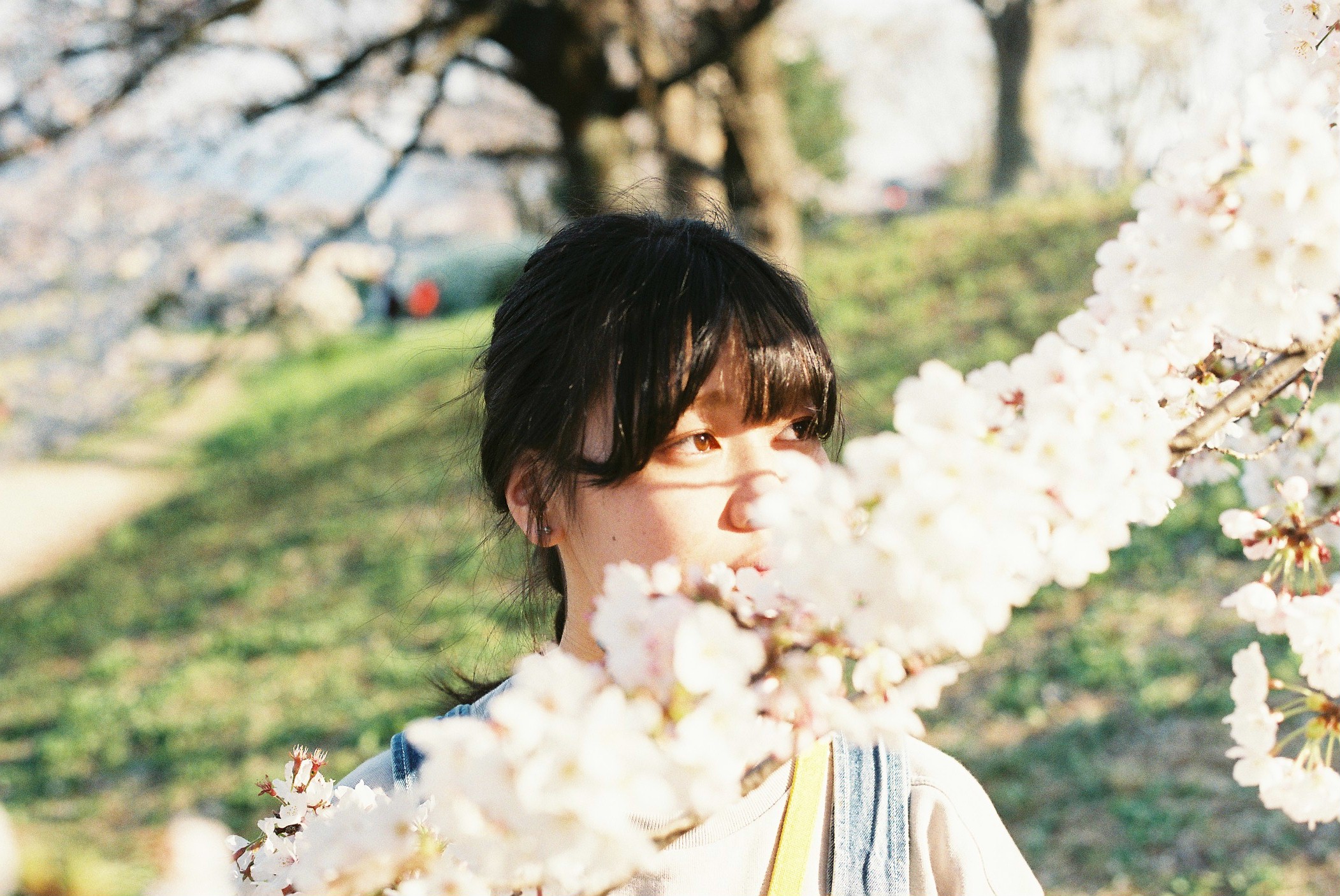 《Film》FUJICOLOR X-TRA400 ※生産終了品